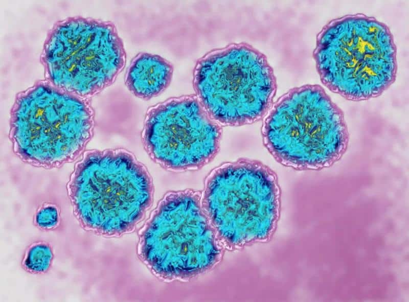 Eliminating Hepatitis C Among Vulnerable Populations: The Vital Role ...