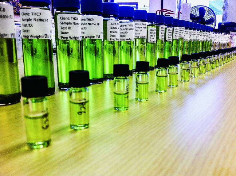 So what exactly is in our legal pot? - O'Neill : O'Neill