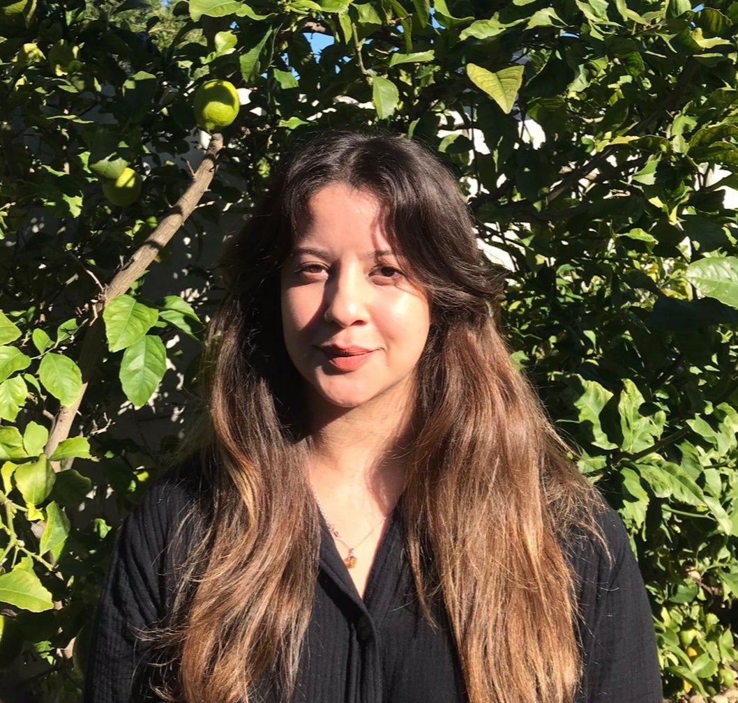 Paula Knipe - O'Neill : O'Neill